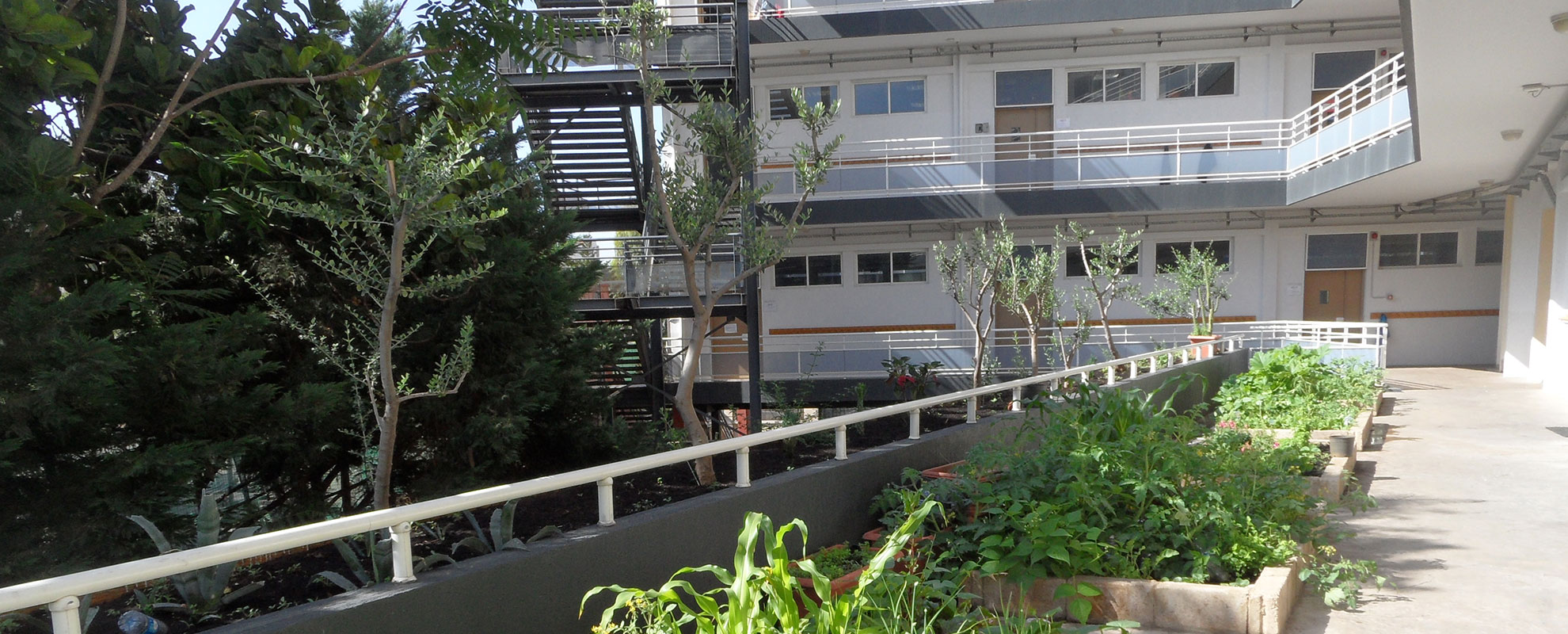 Mme BARDAWIL - Lycée franco-libanais Verdun