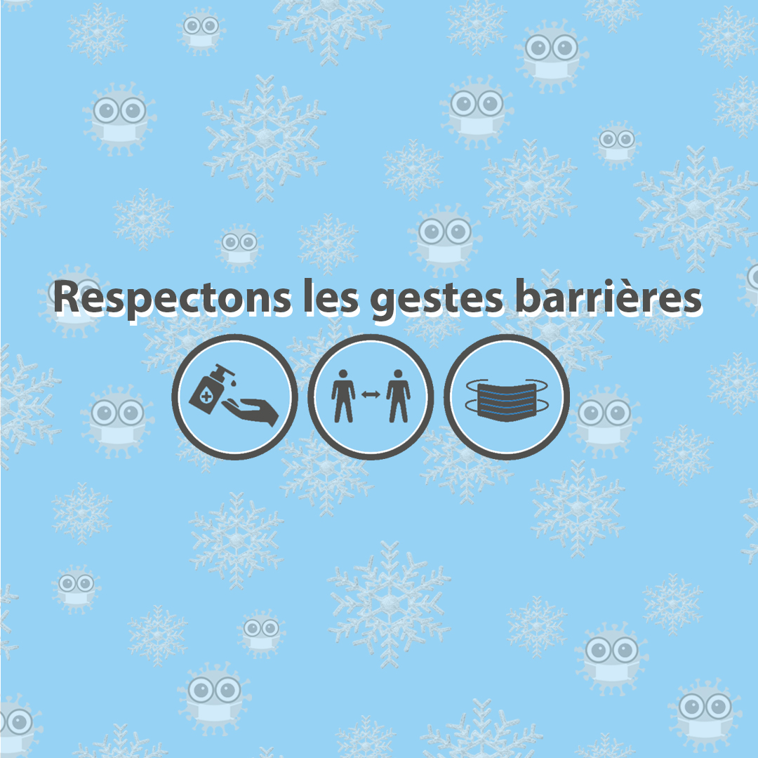 Rappel des règles sanitaires en vigueur - Lycée franco-libanais Verdun